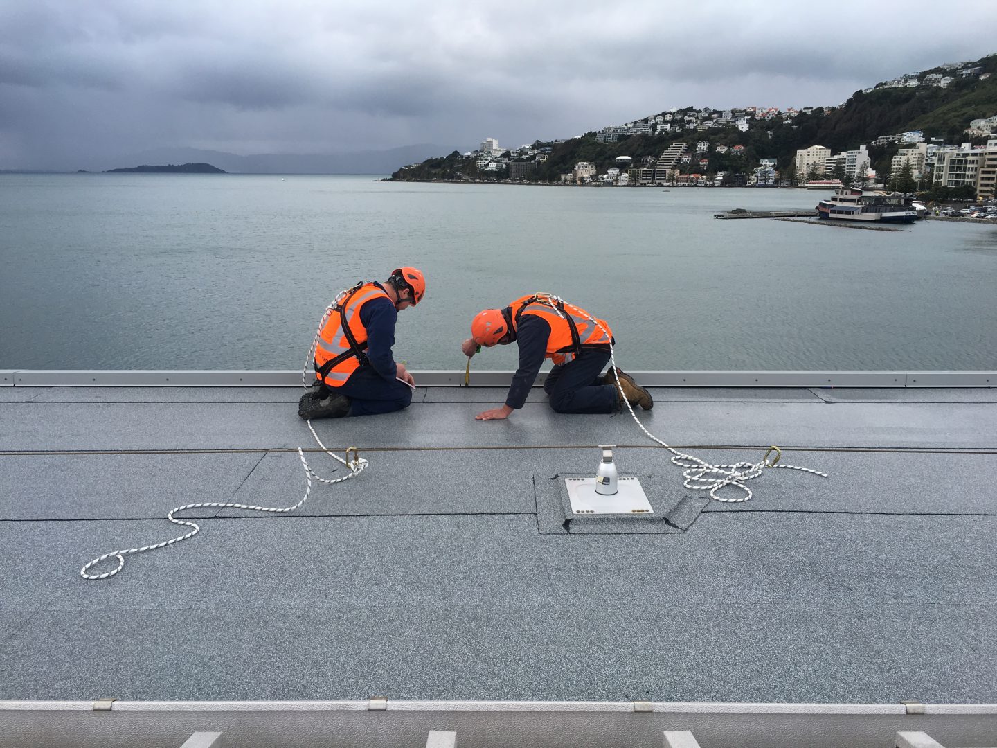 About | Bird Control For Pest Birds | No More Birds