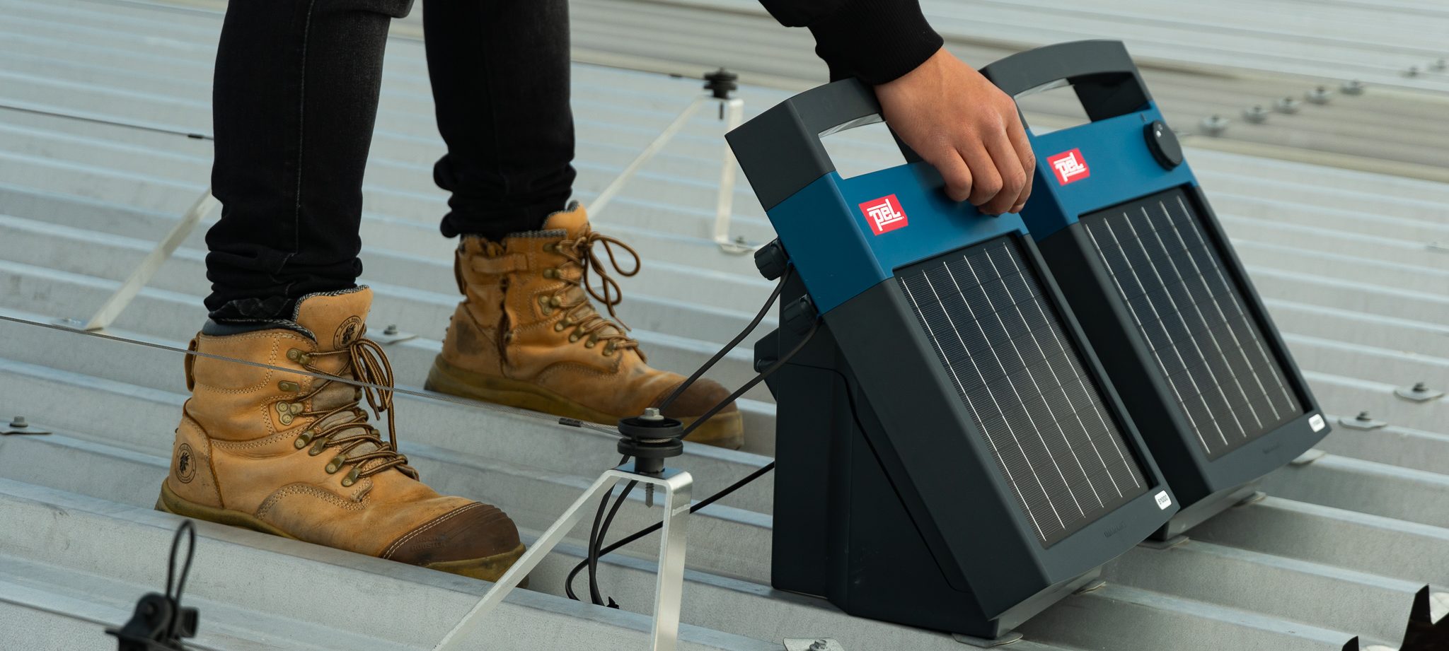 About | Bird Control For Pest Birds | No More Birds