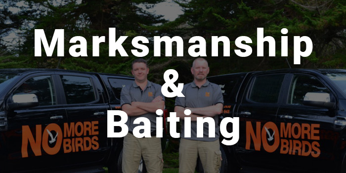 Bird Management Solutions in NZ | No More Birds