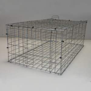 Pigeon Trap Cage - No More Birds