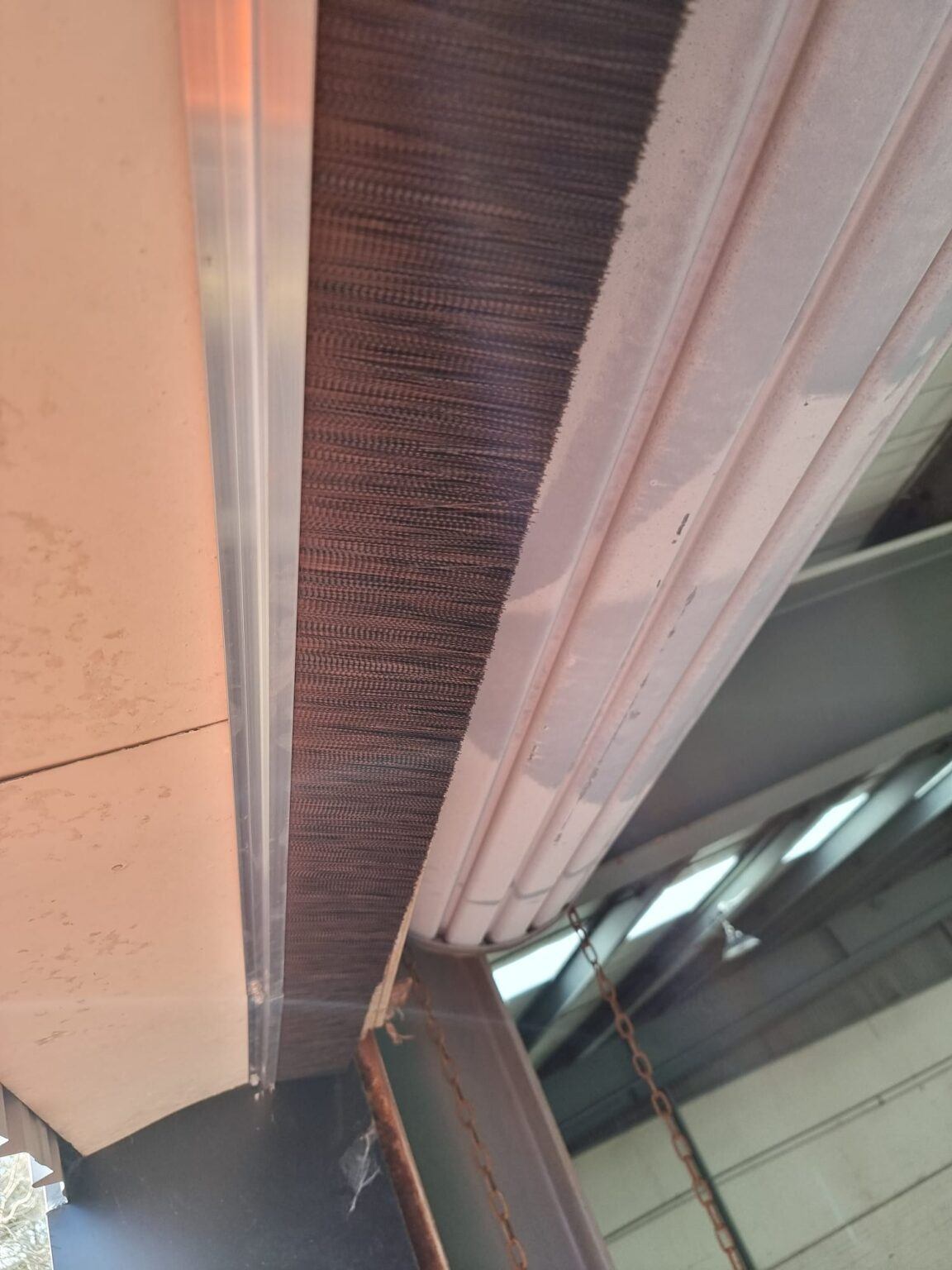 Bird Brush with F Extrusion - No More Birds